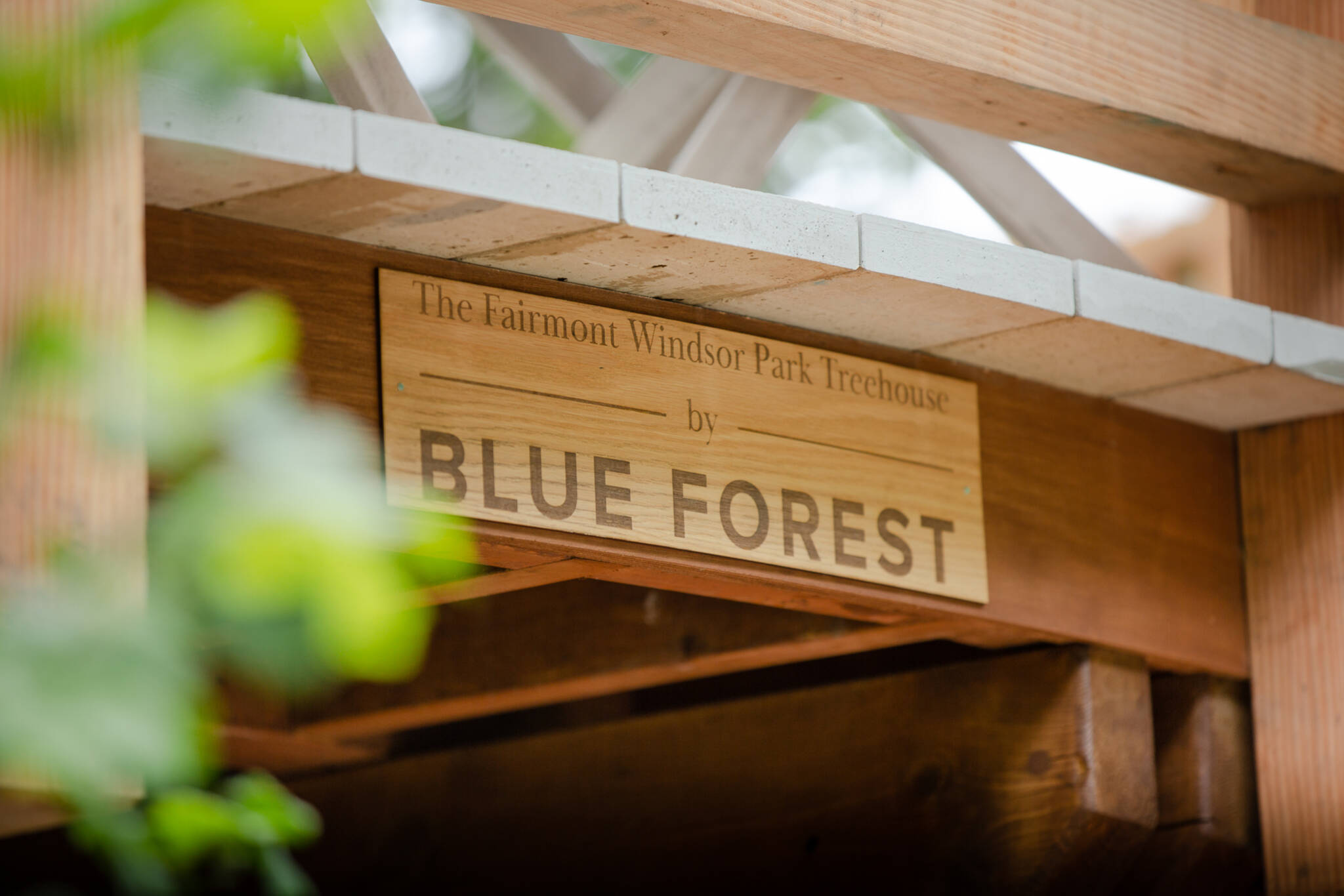 Chelsea Flower Show Treehouse | Excel Roofing | Brickability Group PLC