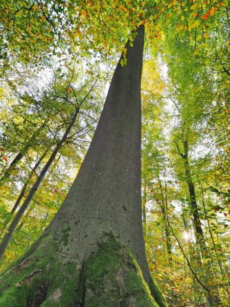 ESG | Brickability Group PLC